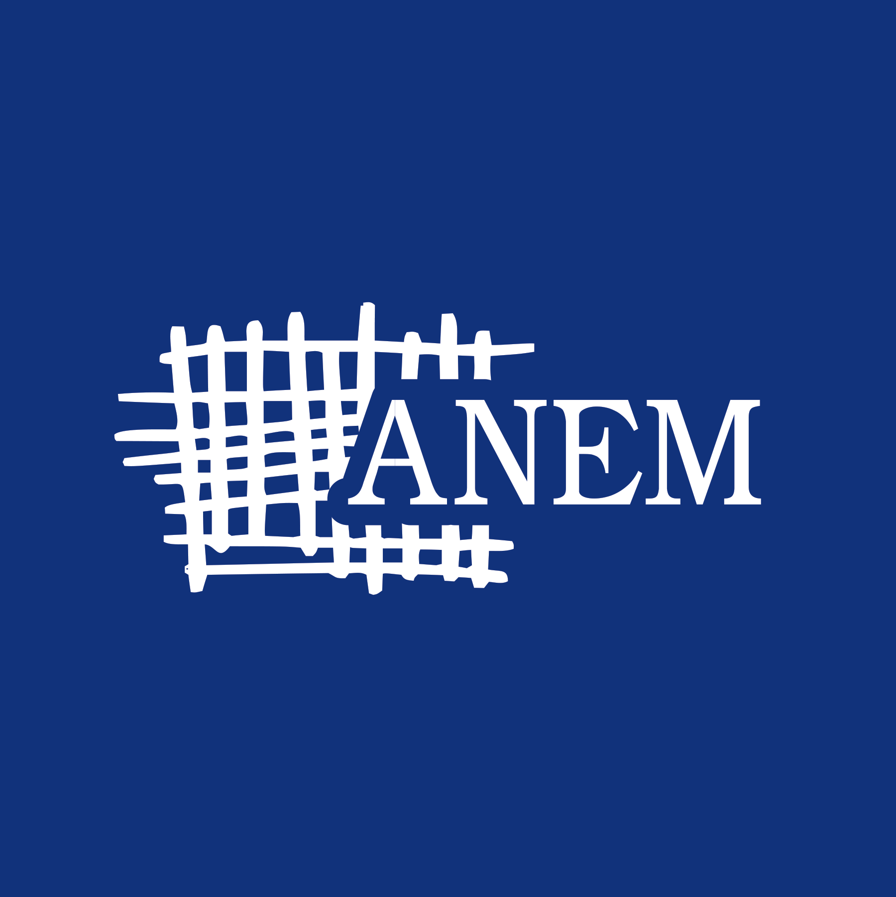 ANEM Board Members and Leadership